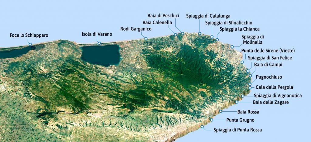 Le più belle spiagge del Gargano: sveliamo tutti gli aspetti - Ignas Tour